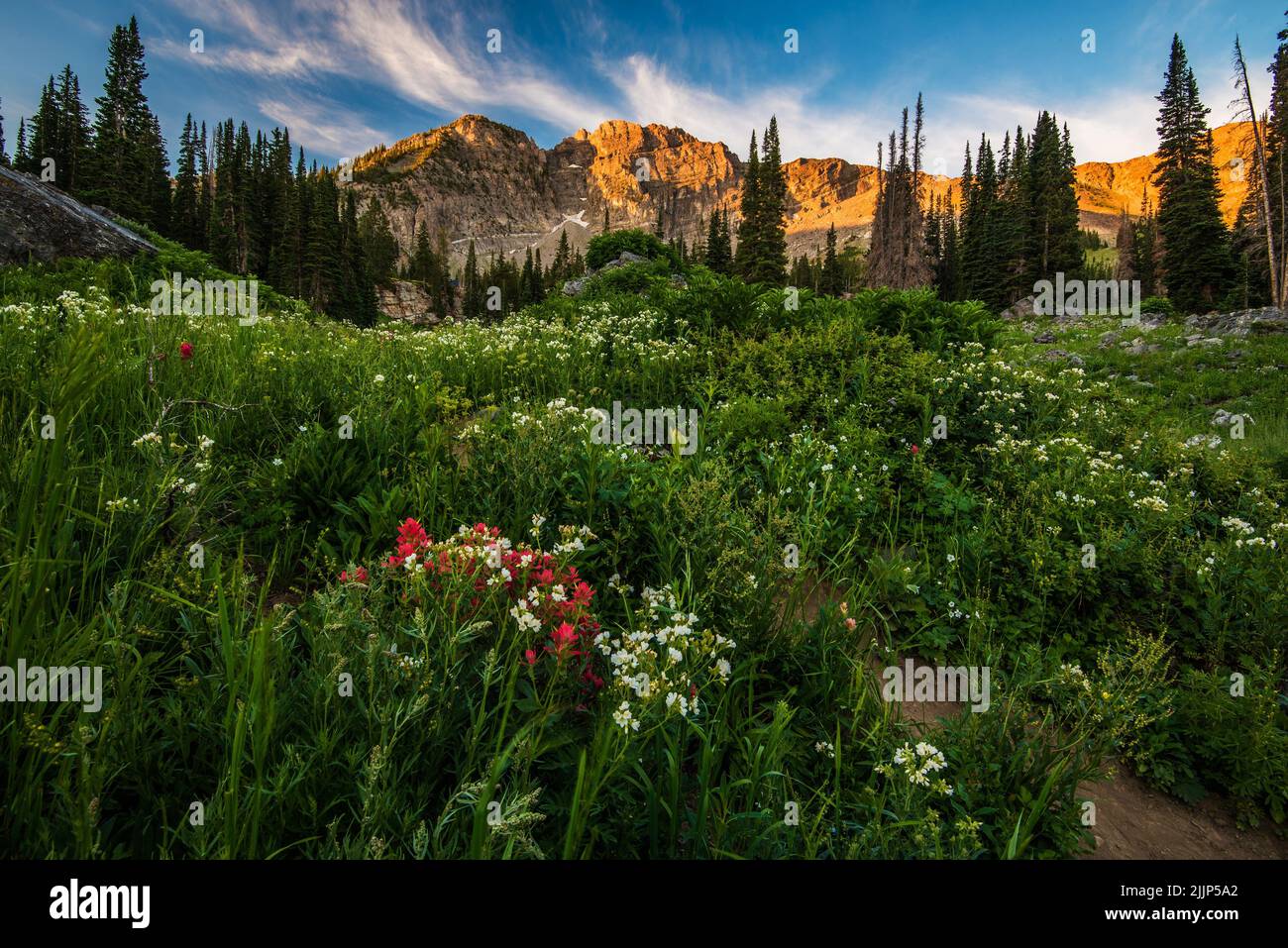 Golden sunlight graces the high mountain peaks of the Wasatch Mountains ...