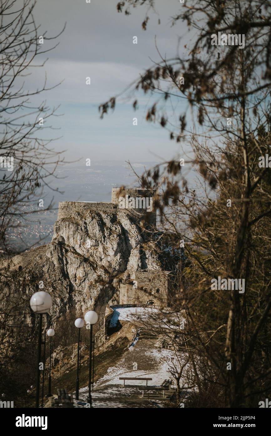 A vertical shot of an old fortress surrounded by trees during winter ...