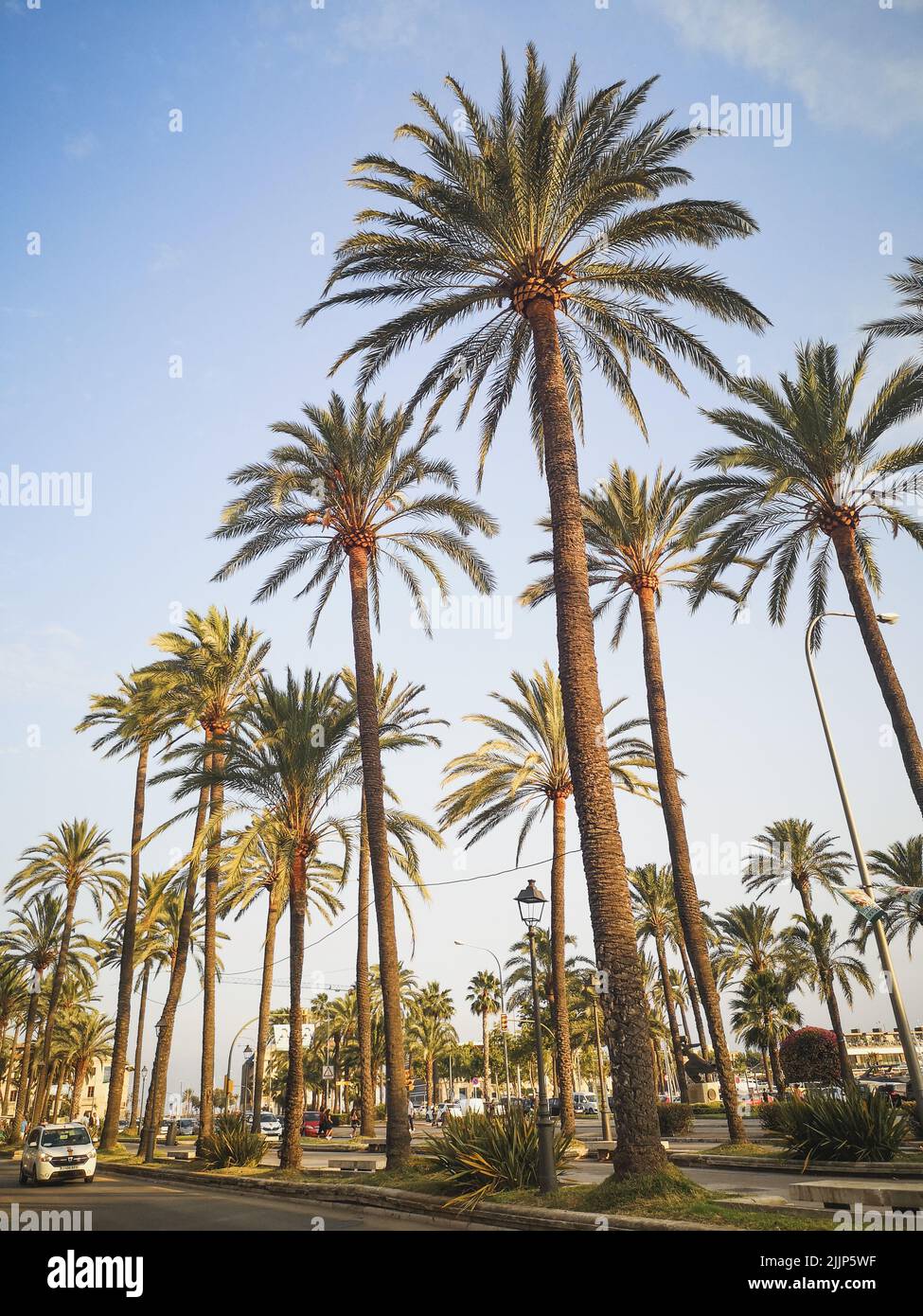 Santa ponsa hi-res stock photography and images - Alamy