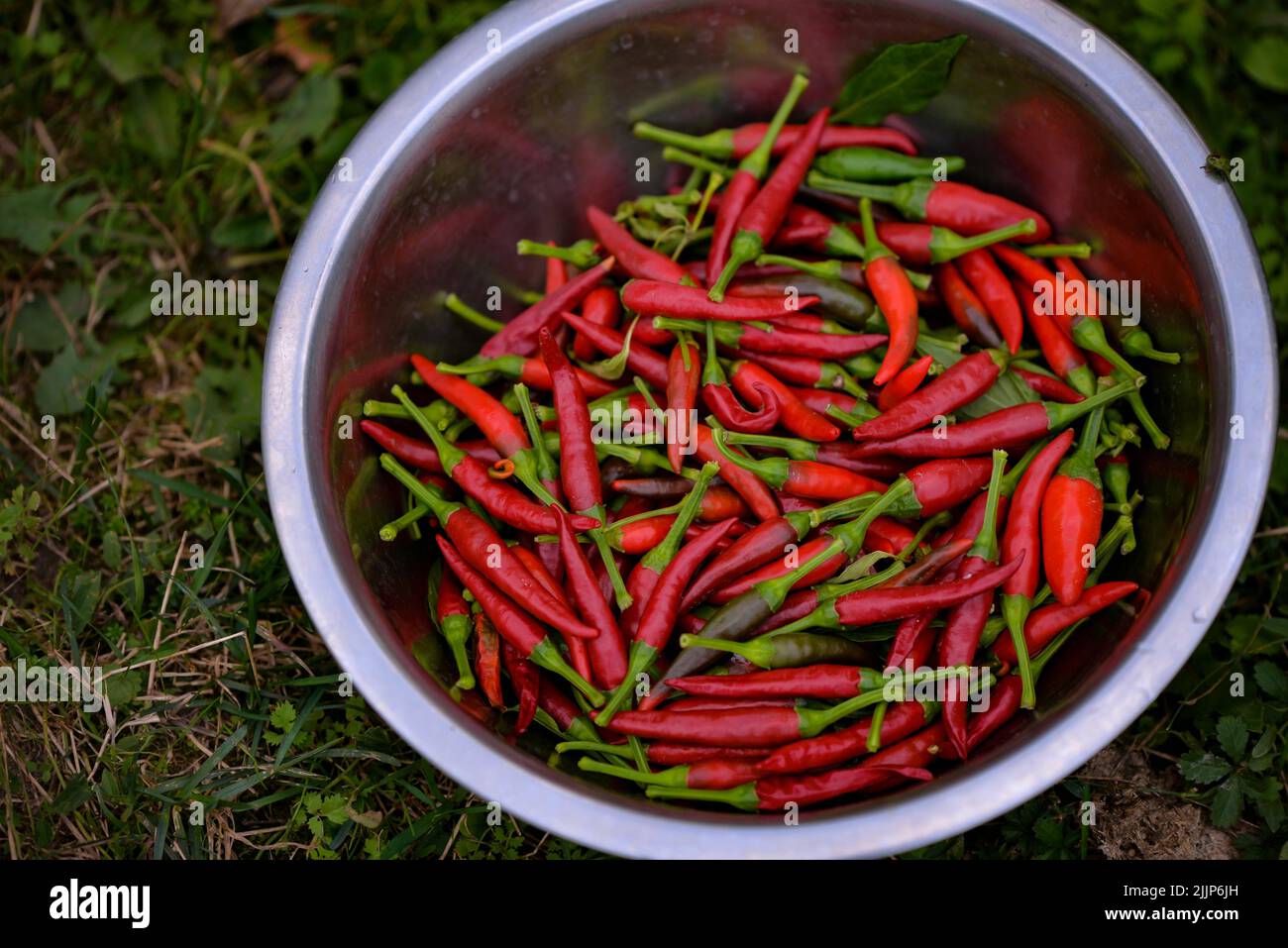 closeup photo of chili peppers in a tare Stock Photo - Alamy