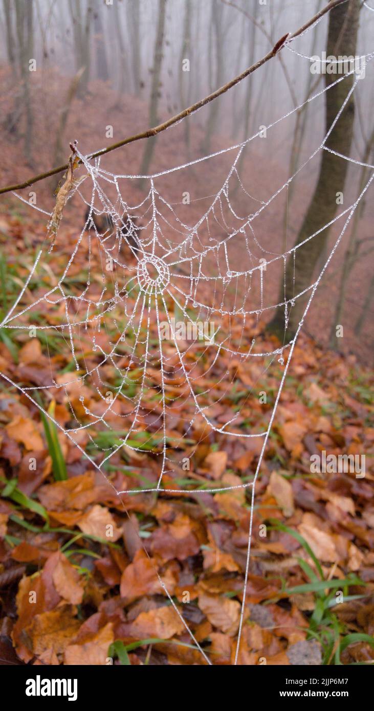 Network outdoor hi-res stock photography and images - Alamy