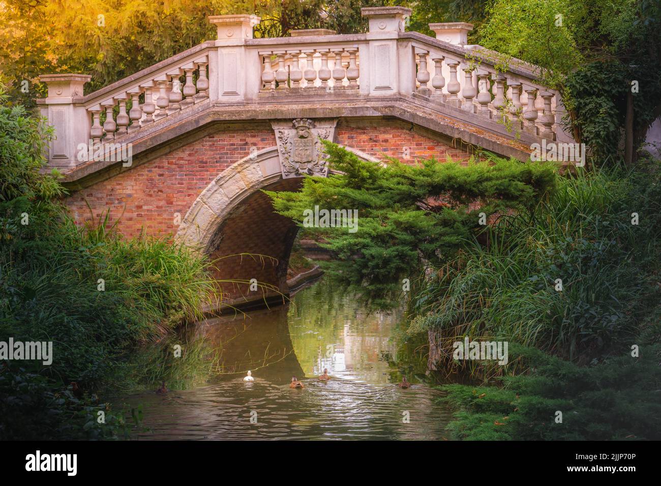 Bridge above pond with ducks in Parc Monceau, Paris, France Stock Photo ...