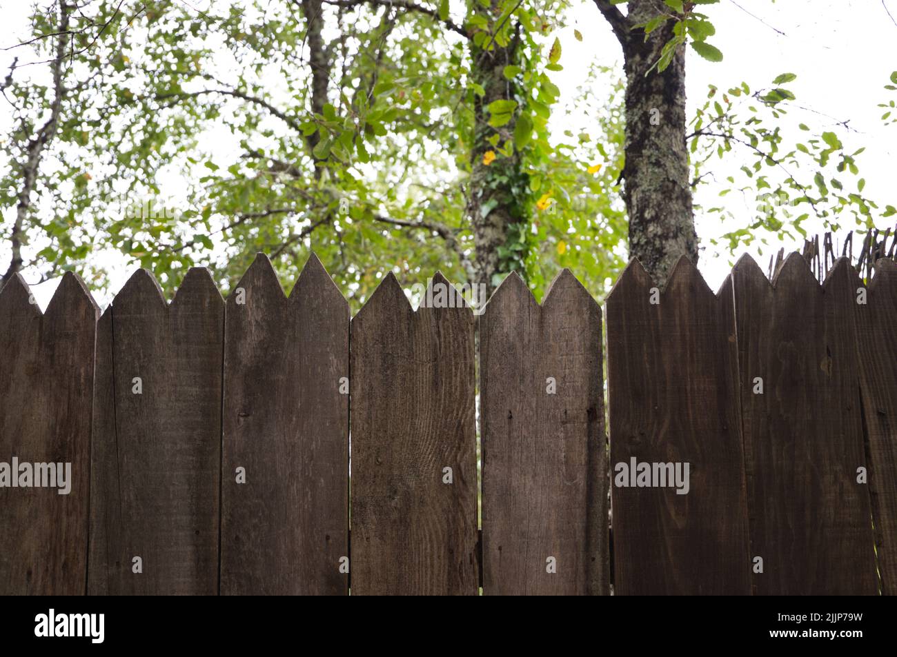 The wooden fence at the house in the meadow, you can see leaves from ...