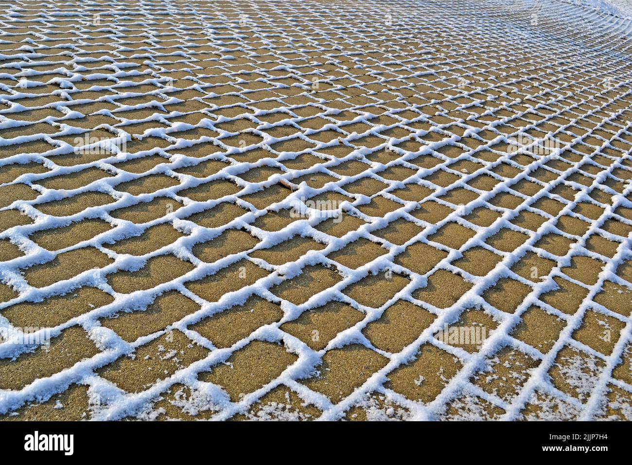 Ecological connections hi-res stock photography and images - Alamy