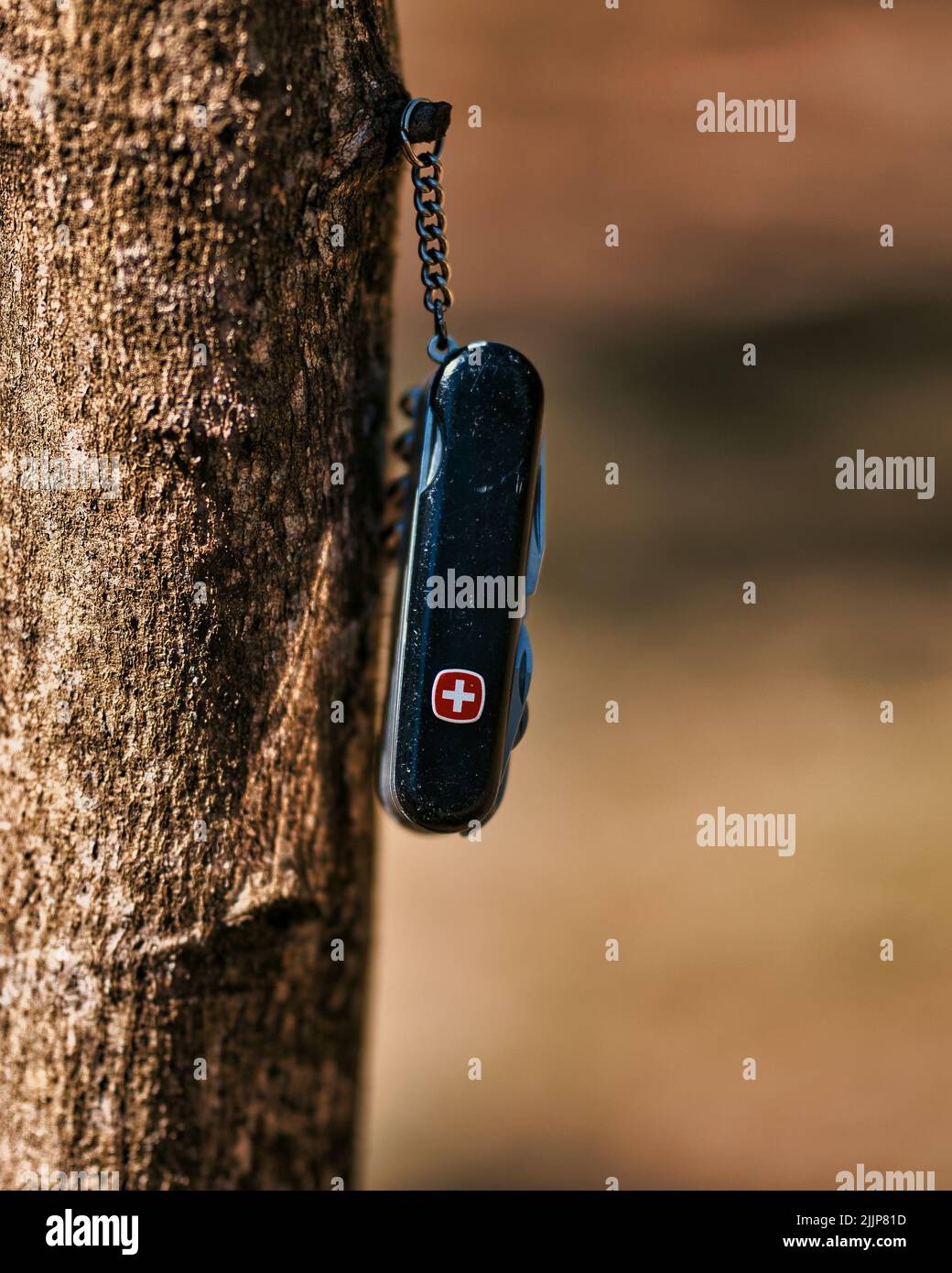 Swiss army knife side view hi-res stock photography and images - Alamy