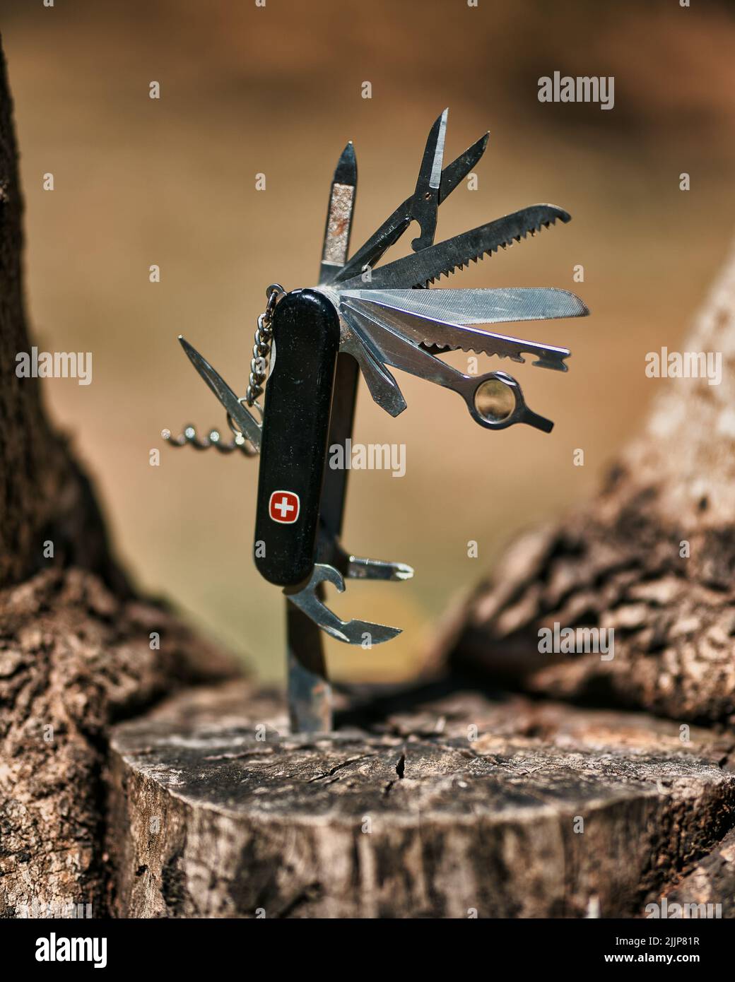 Swiss military knife hi-res stock photography and images - Alamy