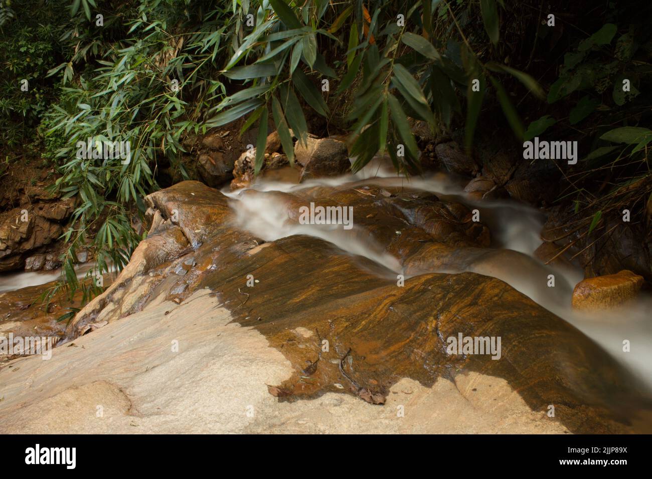 A scenic shot of mist coming out of a stream in a forest in the western ...