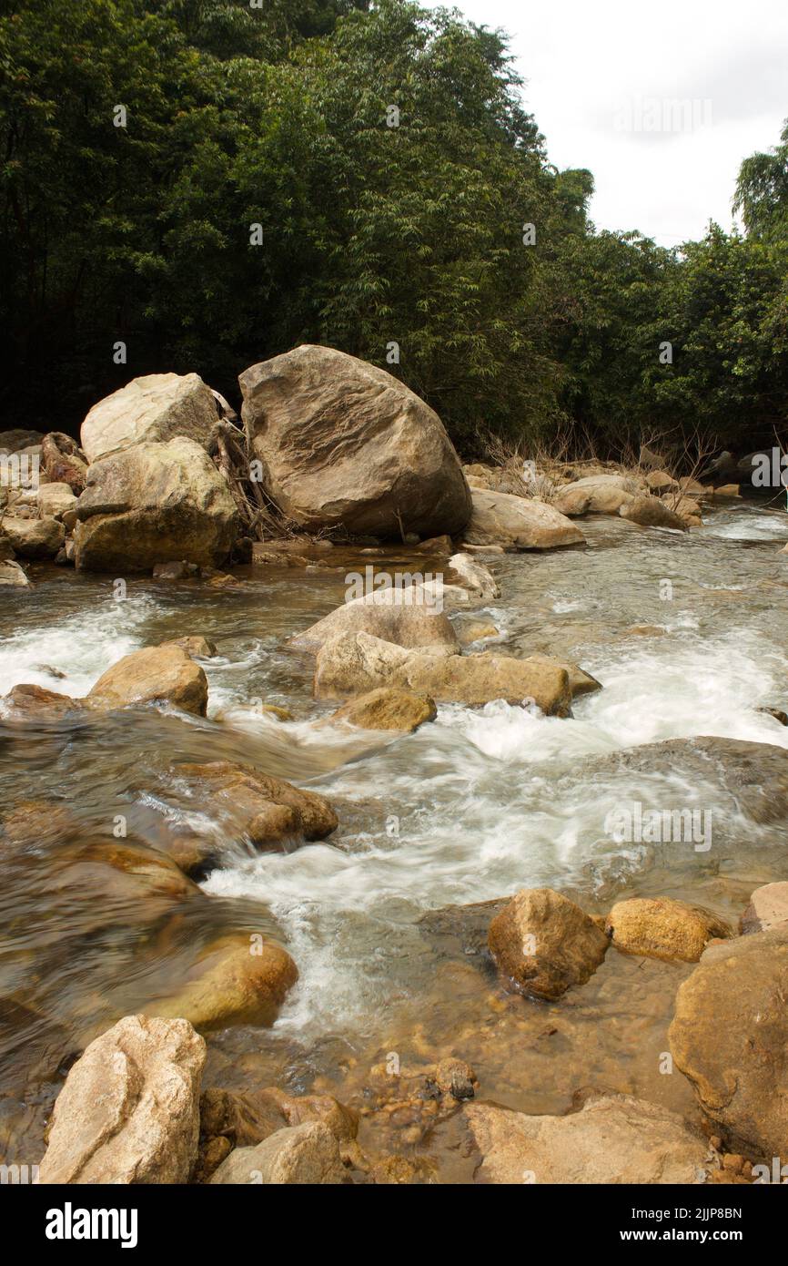 A vertical shot of a flowing rocky stream in a forest in western ghats ...