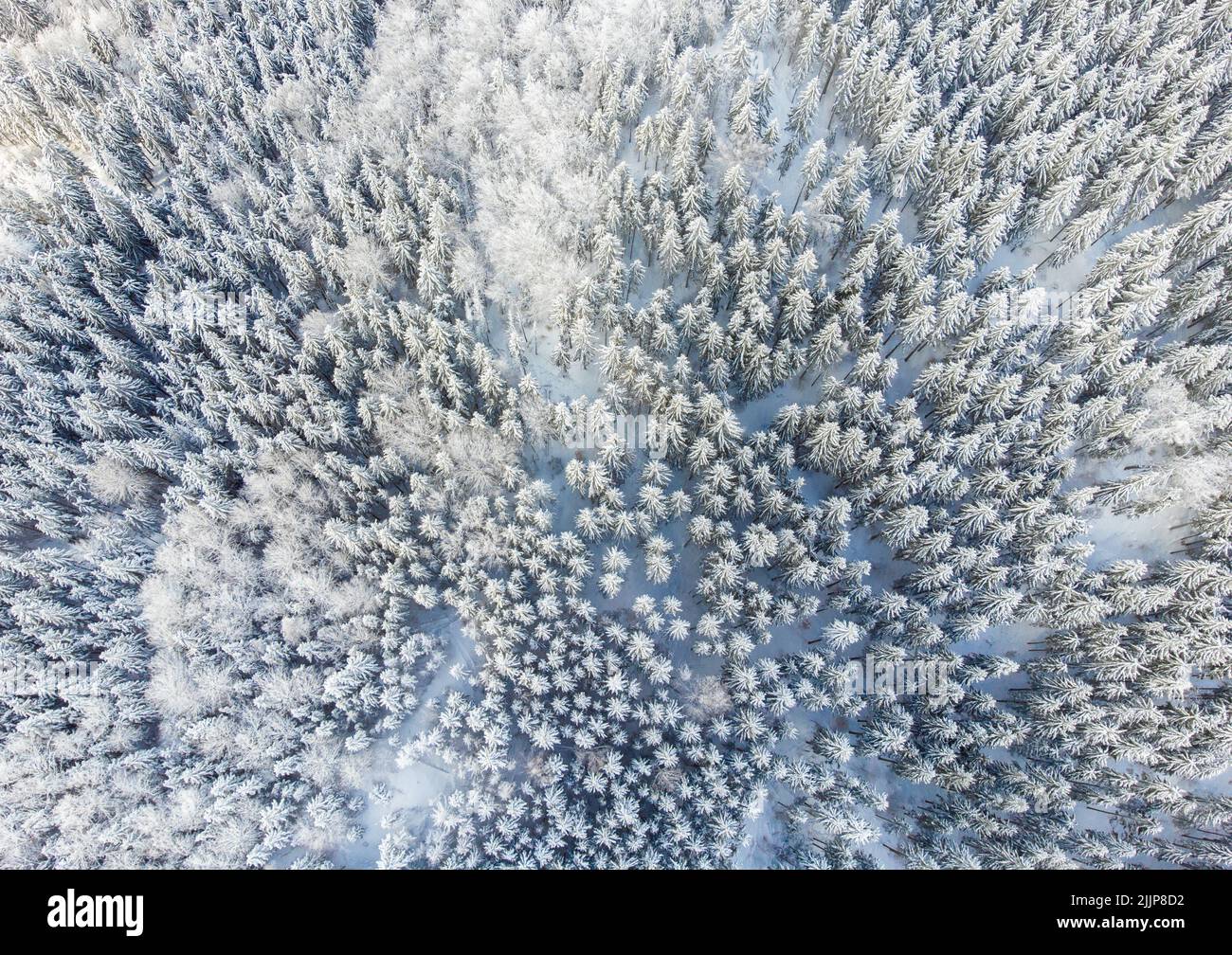 Beautiful trees with snow hi-res stock photography and images - Alamy