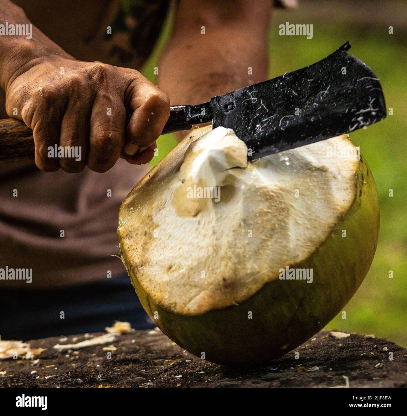 The beautiful close-up shot of cutting coconut Stock Photo - Alamy