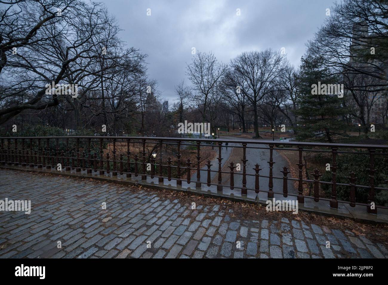 Beautiful shot footpath park hi-res stock photography and images - Alamy