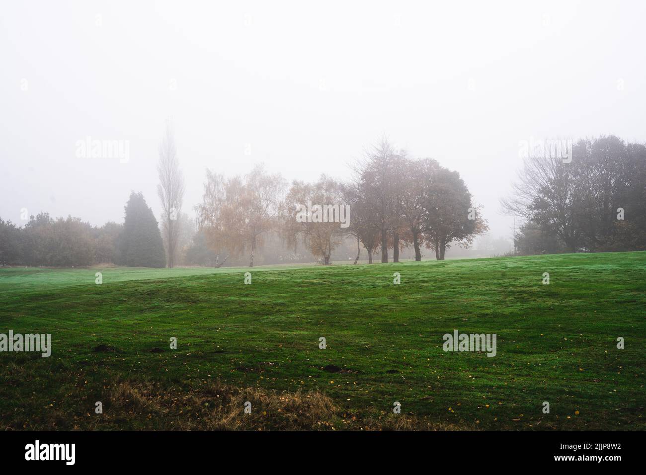 The golf field on a foggy day in autumn in Tankersley, Barnsley ...