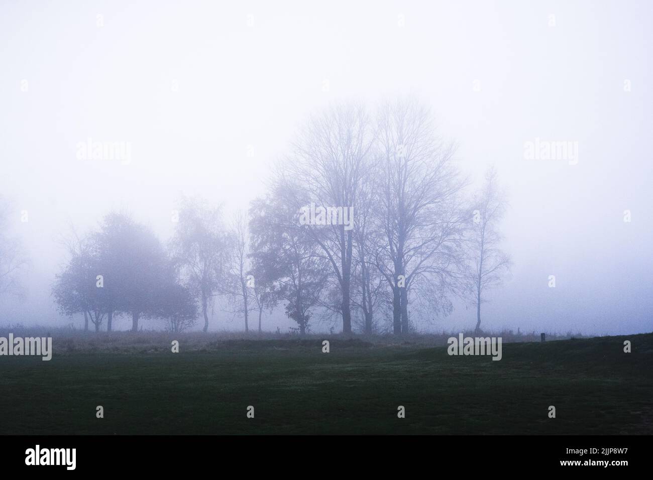 The autumn golf field on foggy weather in Tankersley, Barnsley,England ...