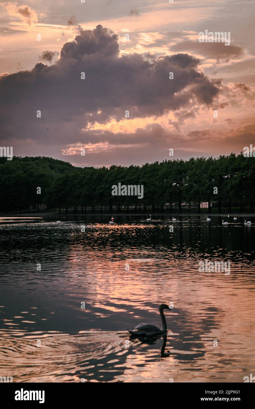 Doncaster england hi-res stock photography and images - Alamy