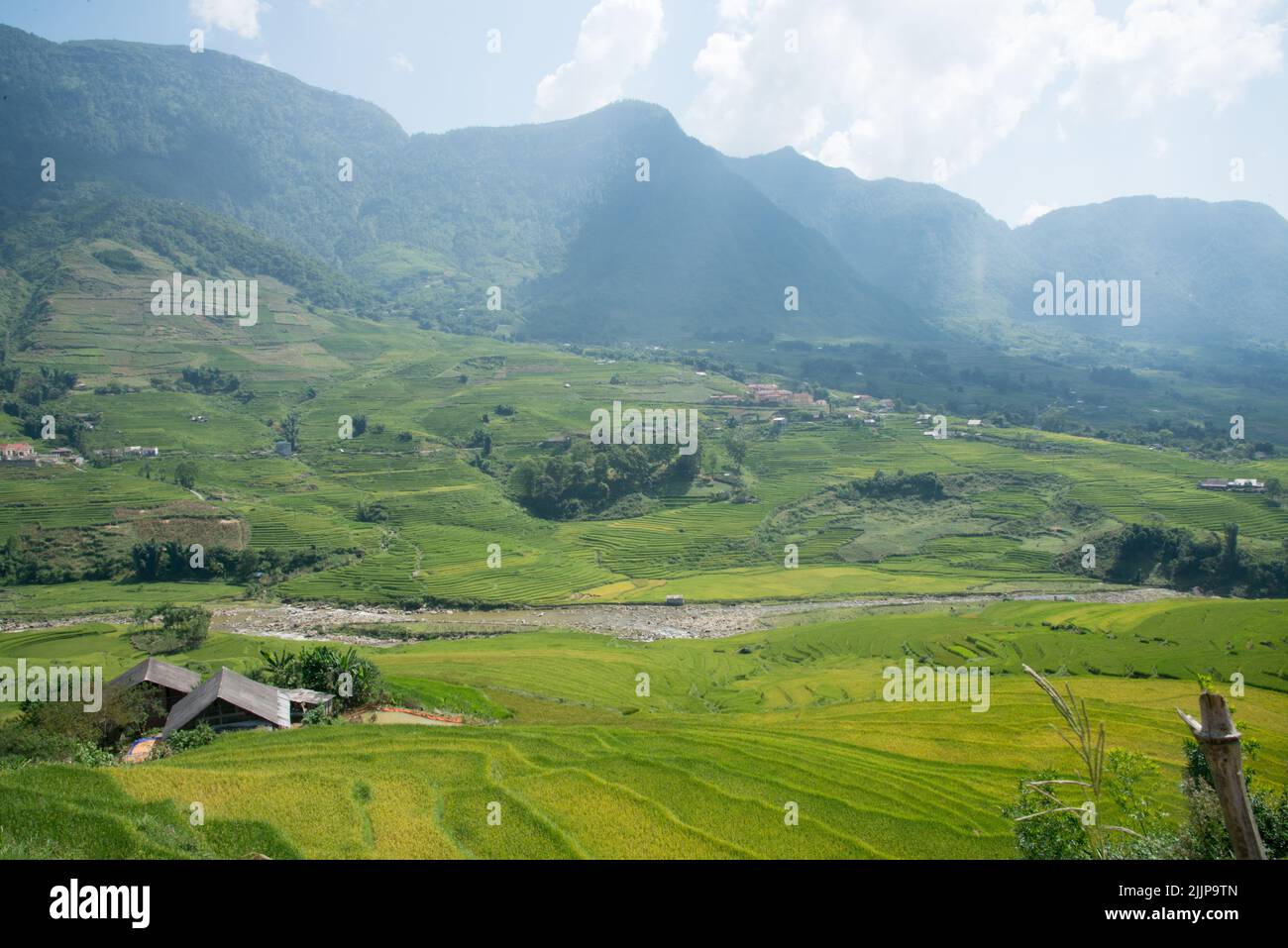 A beautiful view of rice fields of Sa pa surrounded with mountains in ...