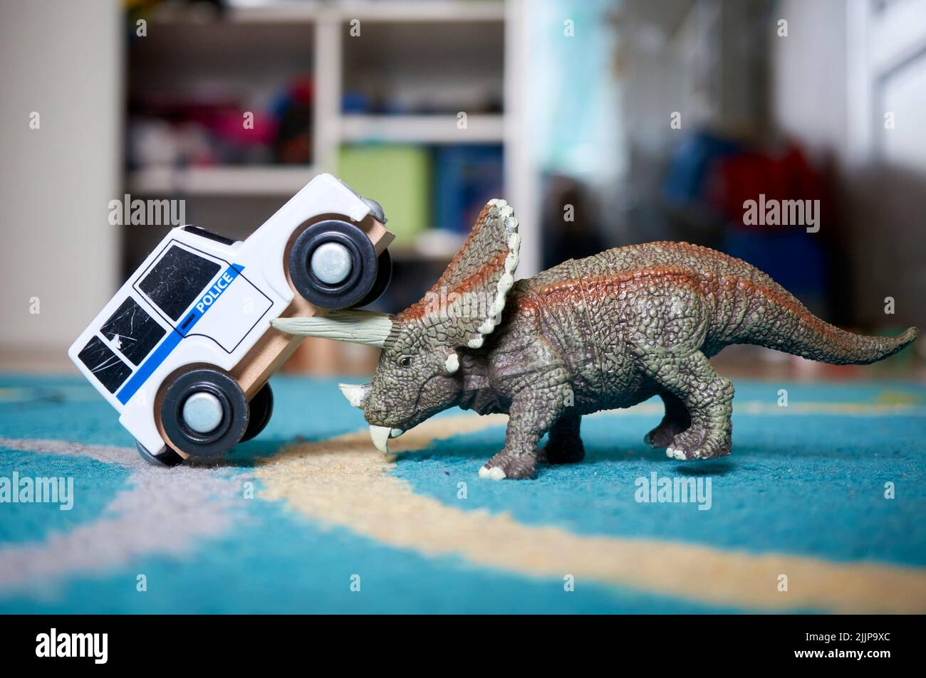 A closeup of a Triceratops Dinosaur toy pushing a toy car on a blue rug ...