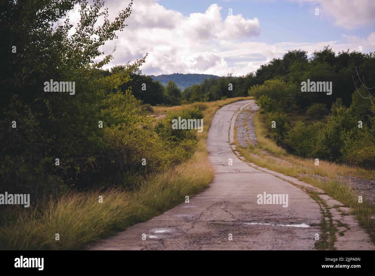A road passing through the forest Stock Photo - Alamy
