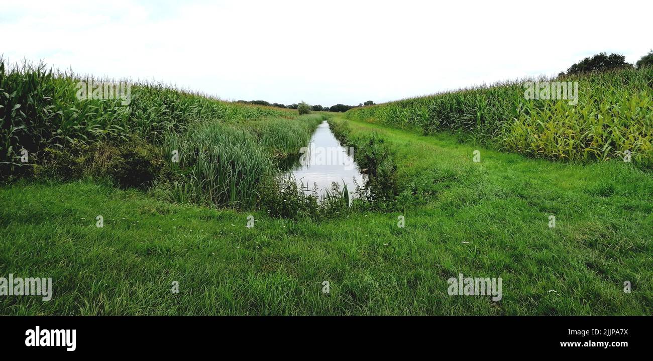 Narrow water channel hi-res stock photography and images - Alamy