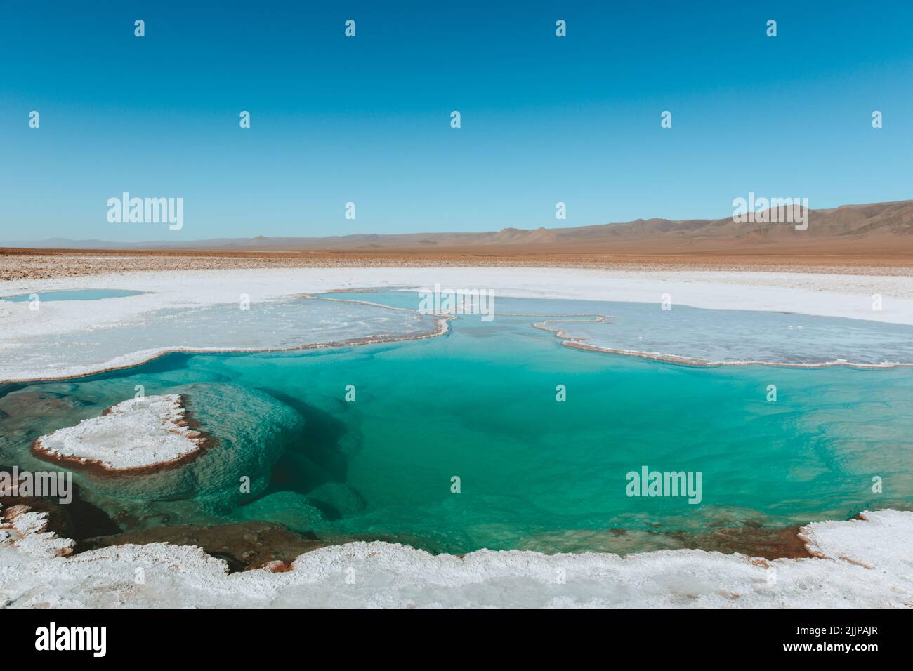 Green water lagoon with white salt edge in an empty desert in Chile ...