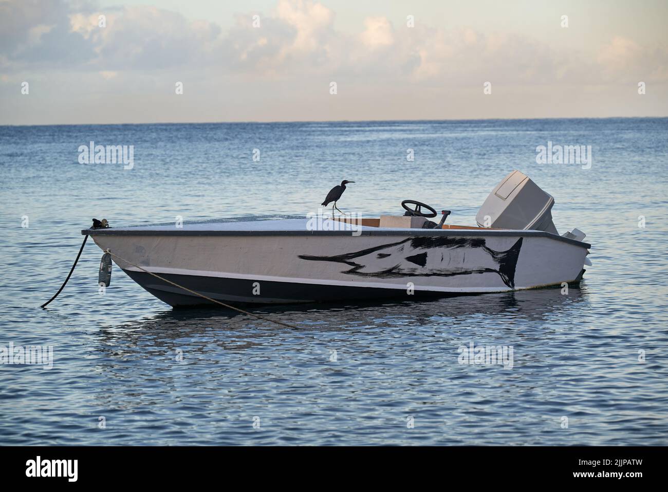 A closeup of a small white boat yacht in the sea Stock Photo - Alamy