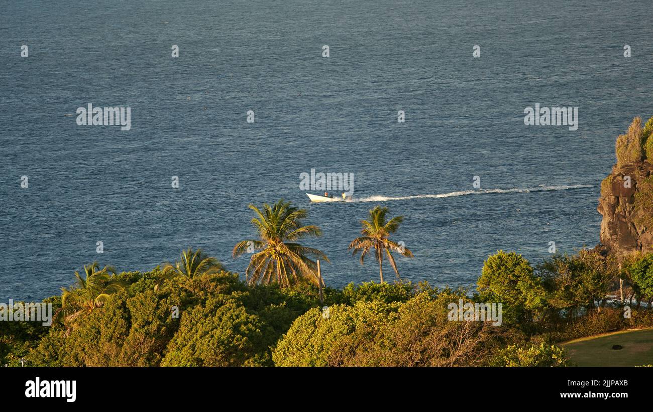 Beautiful landscape coast trees on hi-res stock photography and images ...