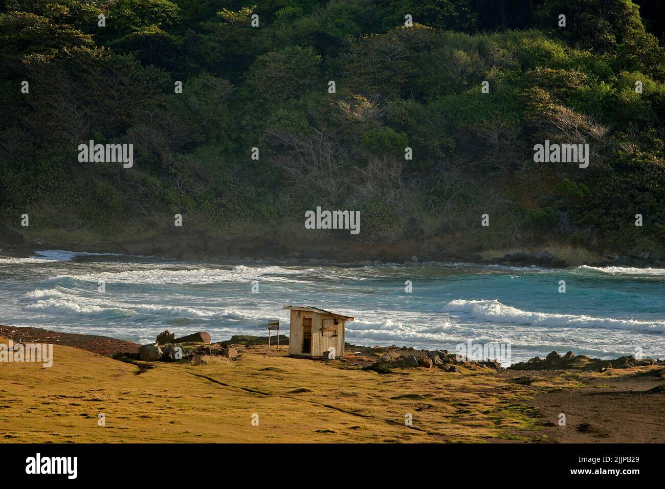 Seacoast plants hi-res stock photography and images - Alamy