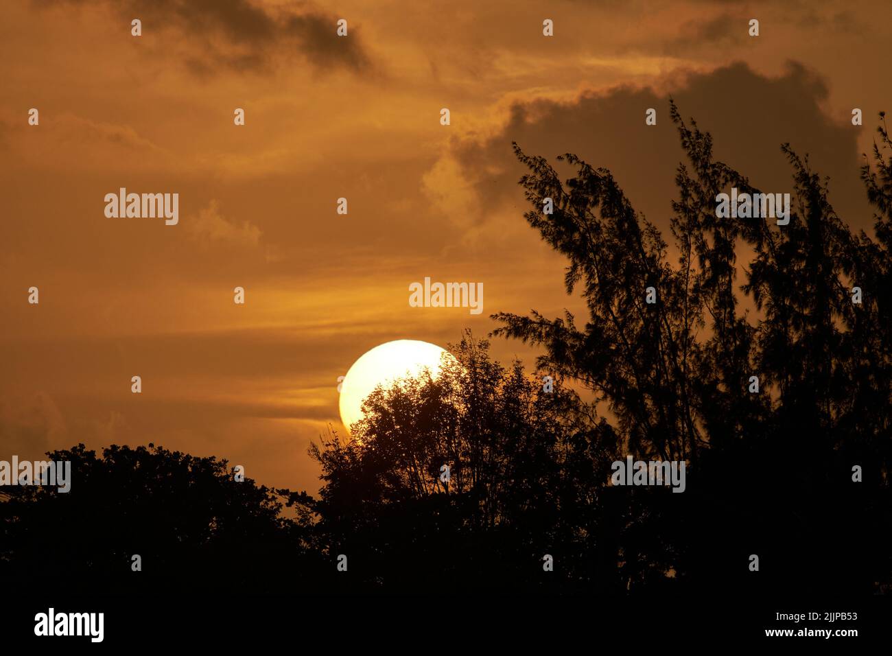 A bright full moon in the sky Stock Photo - Alamy