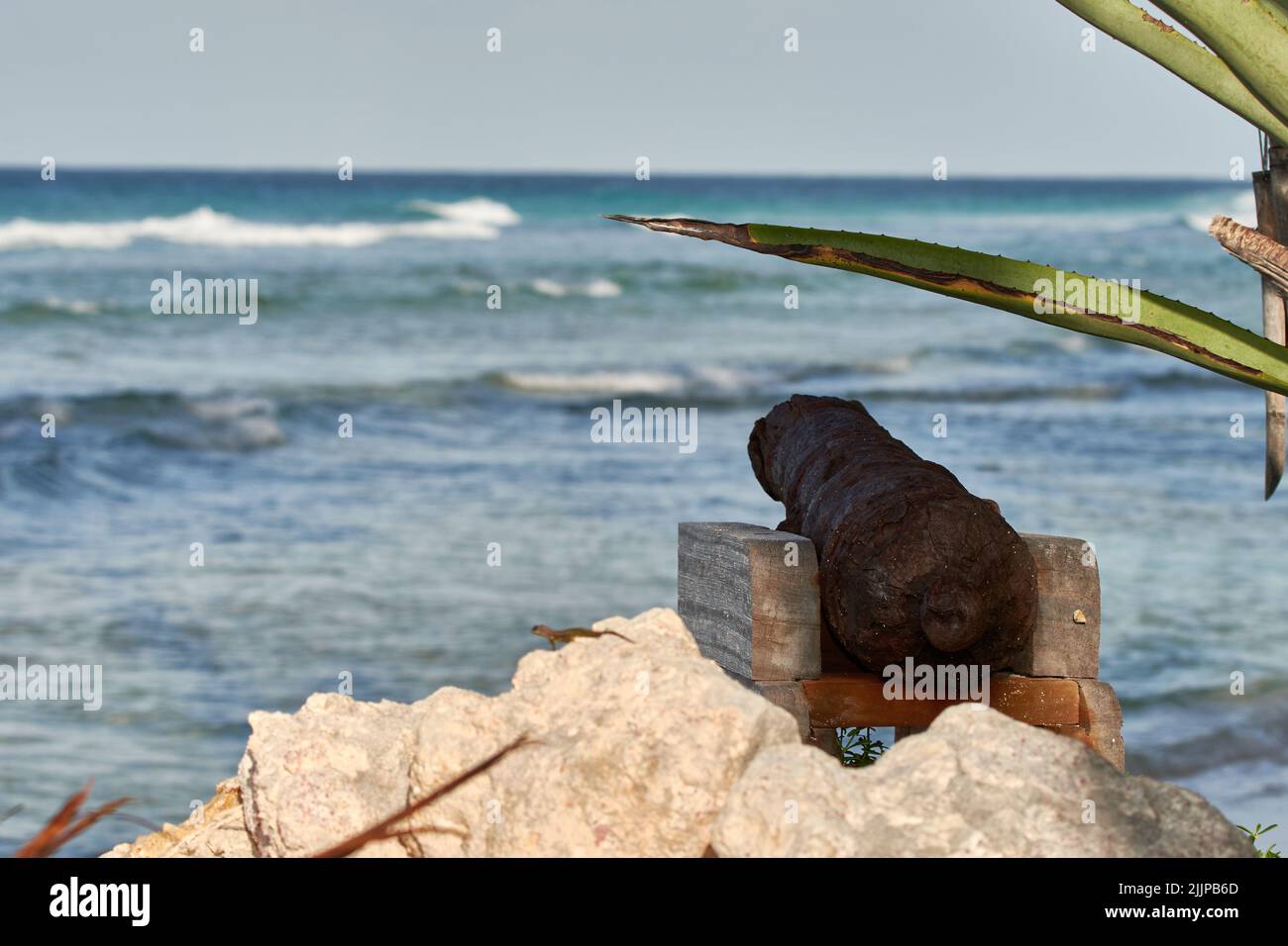 Old rusty cannon hi-res stock photography and images - Alamy