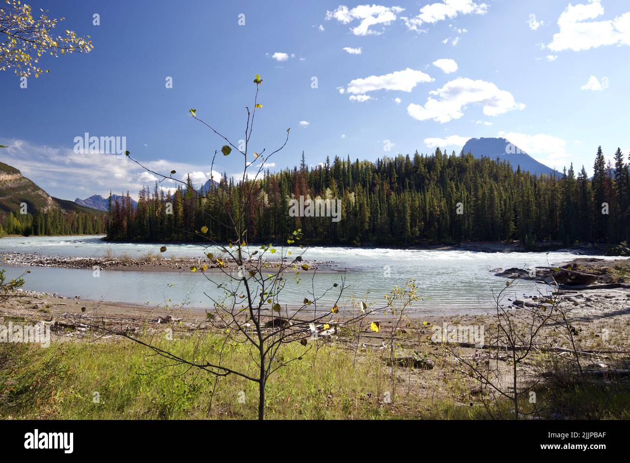 A beautiful landscape with a river with mountains in the background on ...