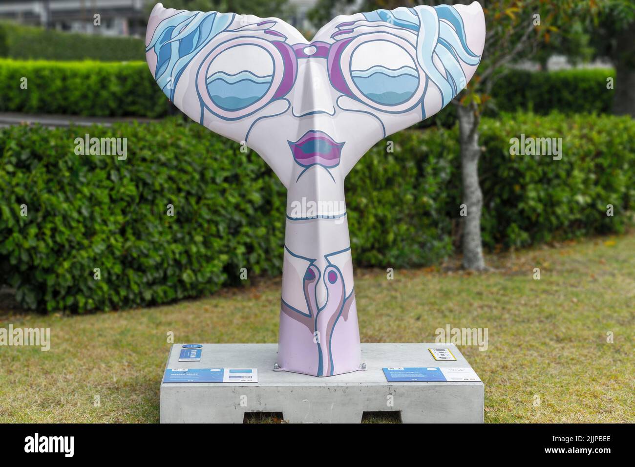 A man-made whale tale art sculpture show in Auckland, New Zealand Stock ...