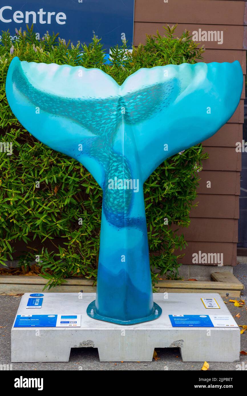 A man-made whale tale art sculpture show in Auckland, New Zealand Stock ...