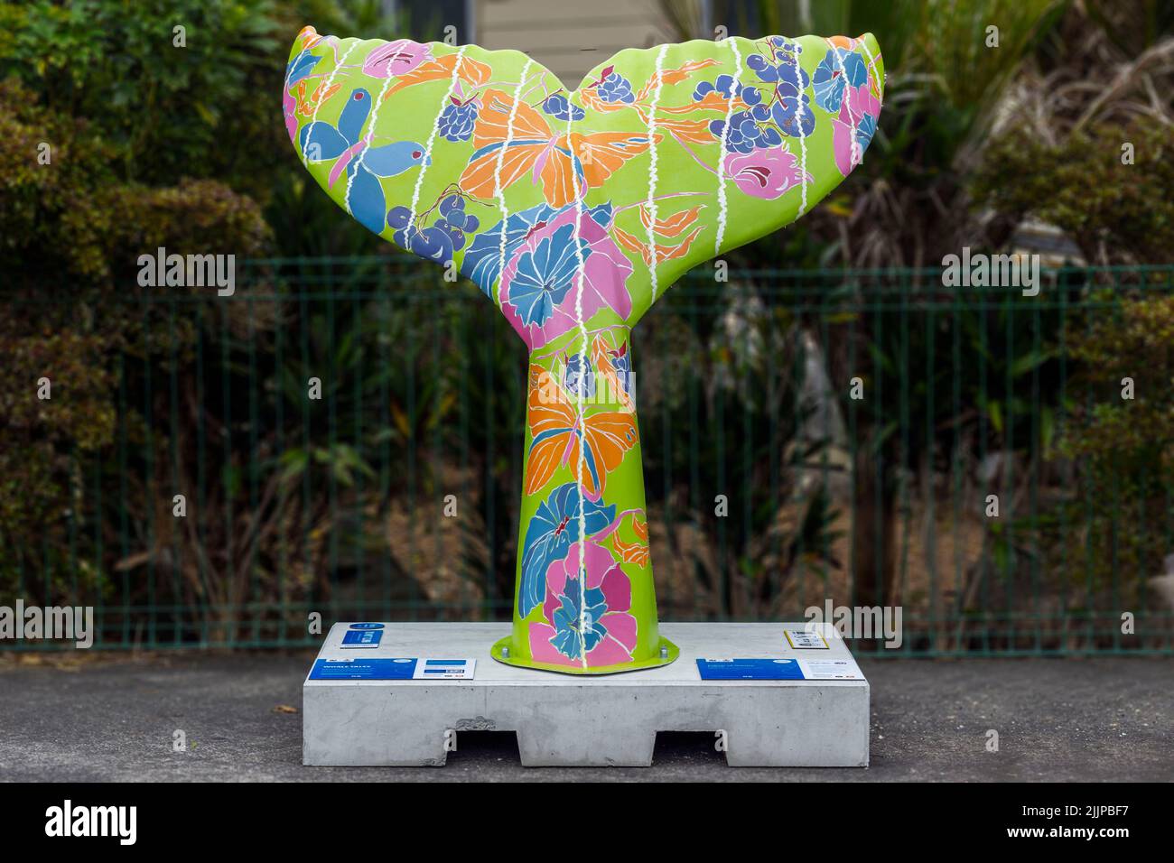 A man-made whale tale art sculpture show in Auckland, New Zealand Stock ...