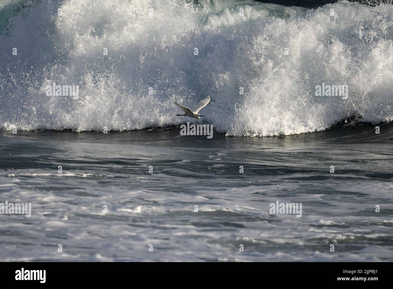 Fly over the ocean waves hi-res stock photography and images - Alamy