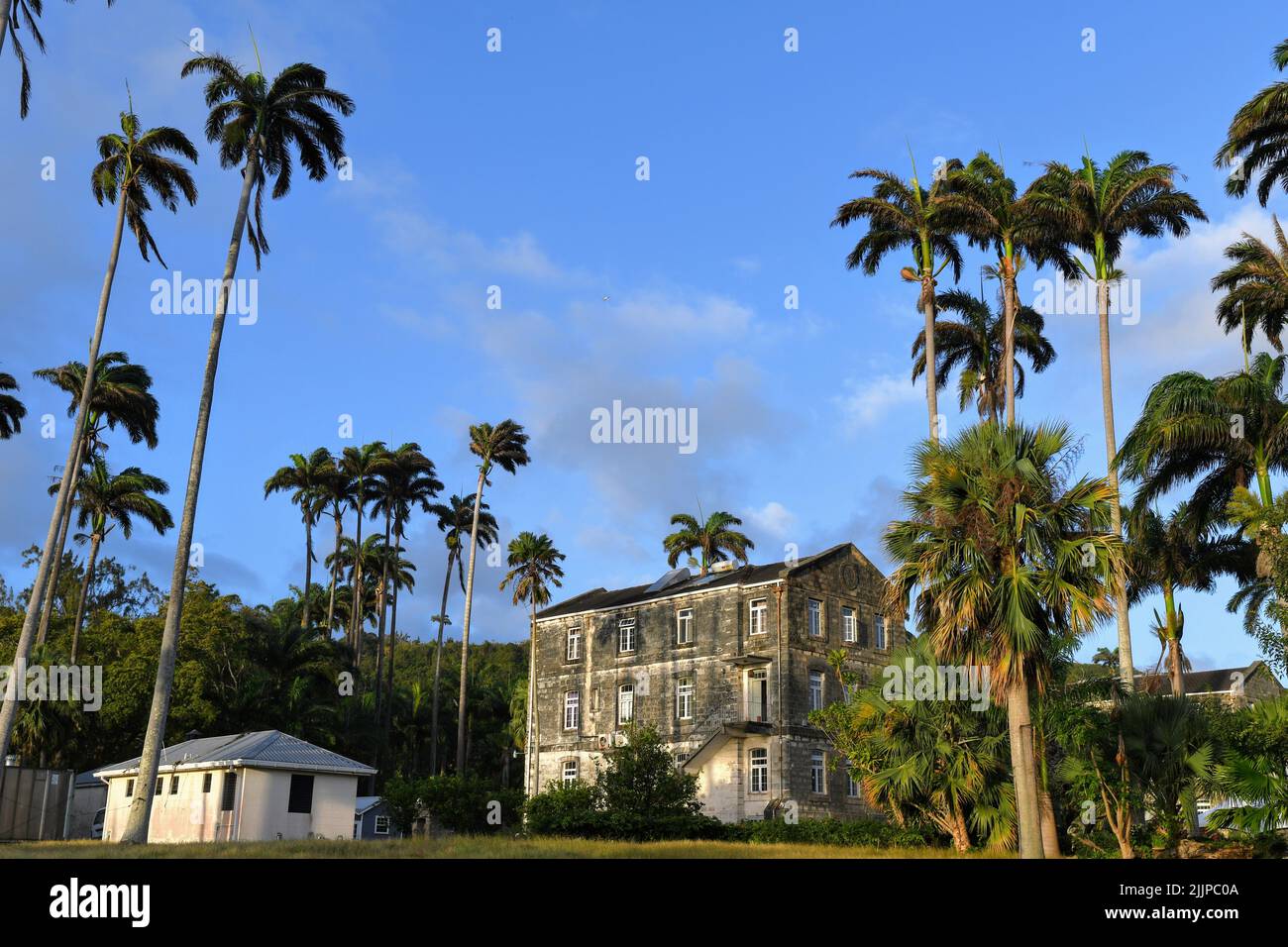Hotel with palms hi-res stock photography and images - Alamy