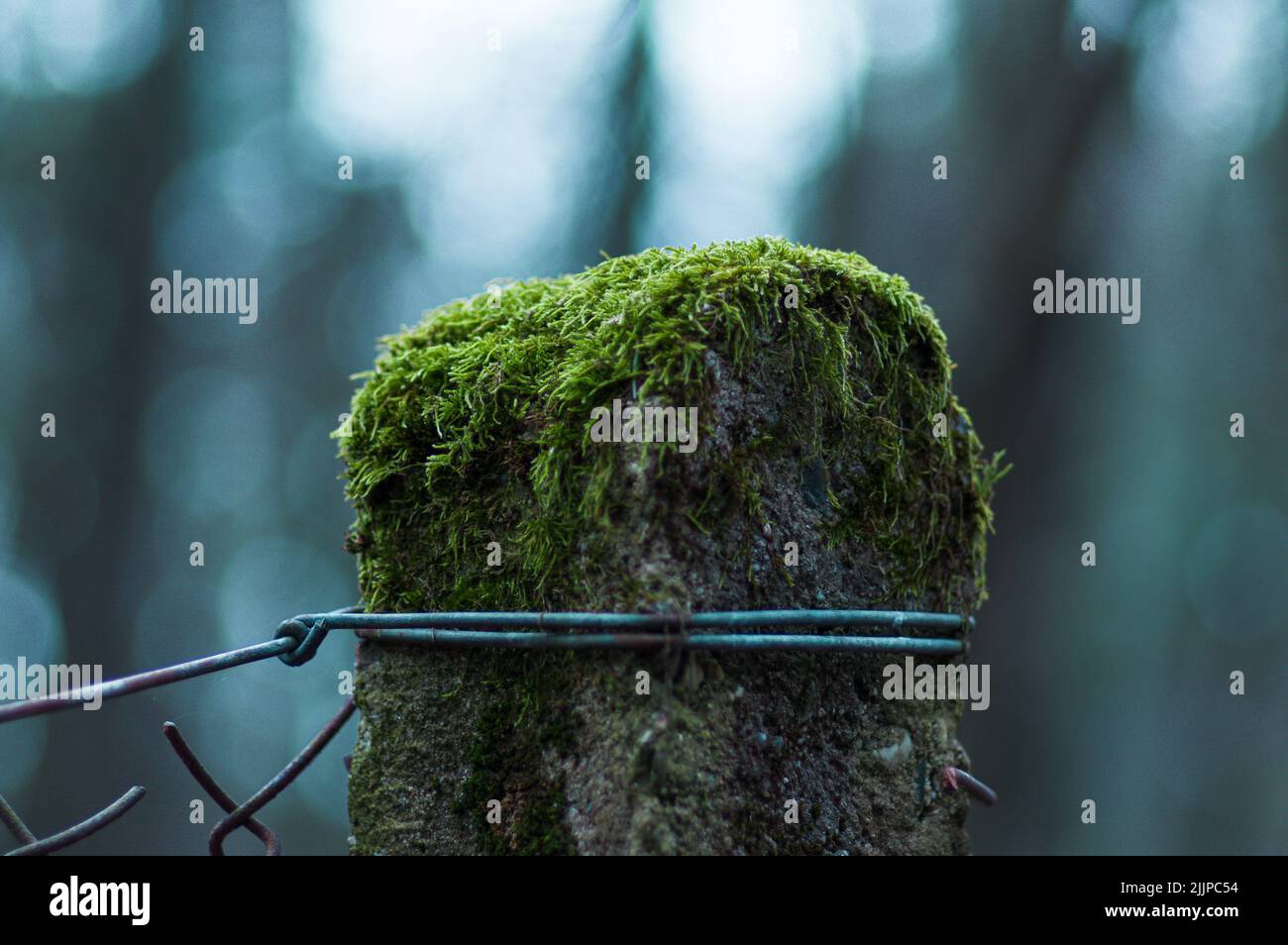 A close-up shot of a metallic wire tied to a rock column covered in ...