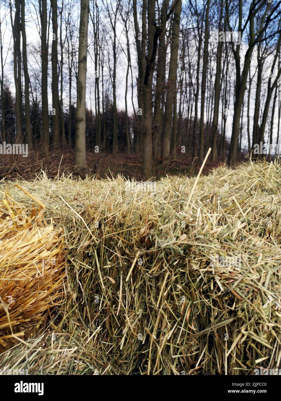 A selective of haystacks near a forest Stock Photo - Alamy