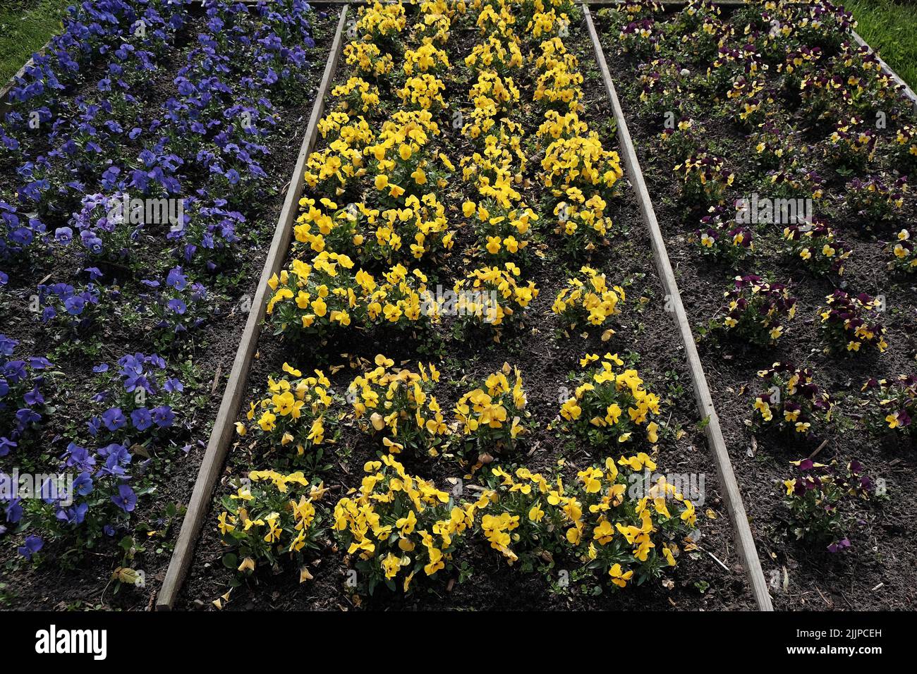 Perennial border hi-res stock photography and images - Alamy