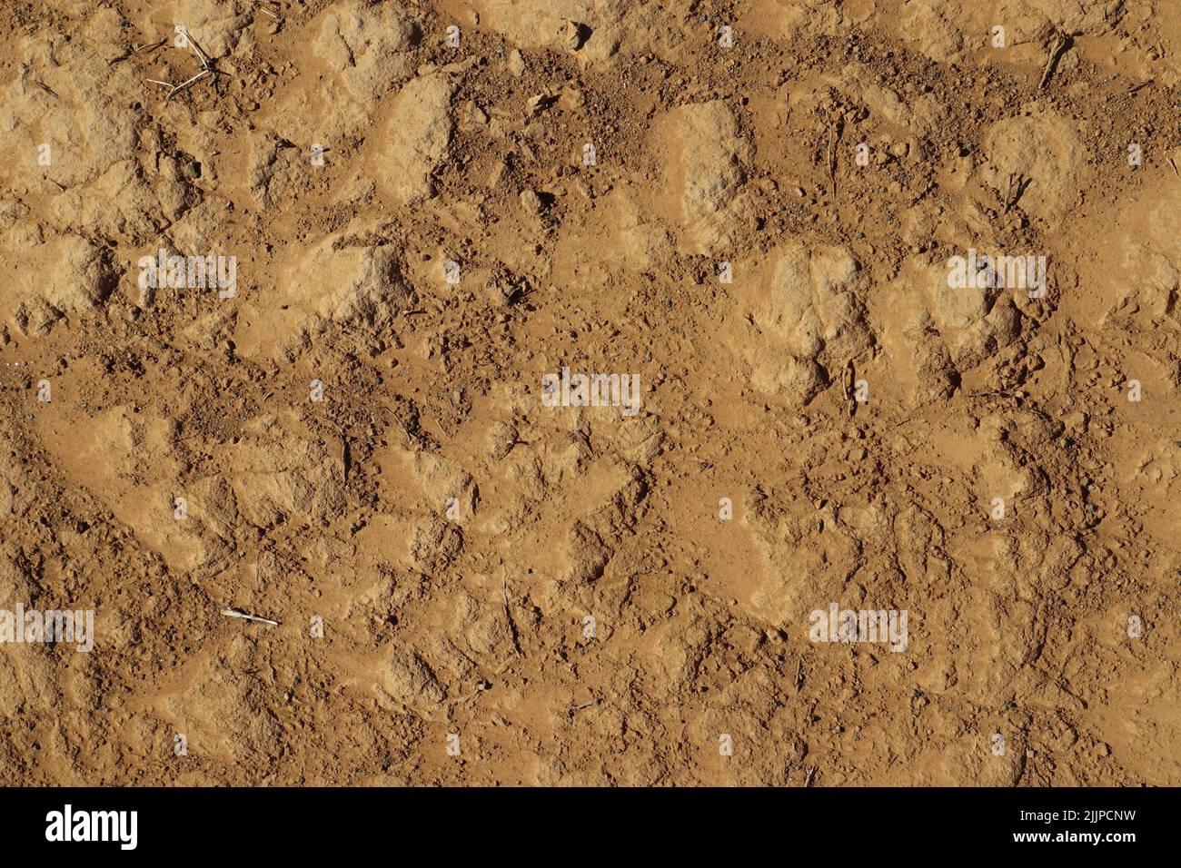 A closeup shot of texture of rocky dirt road, great for backgrounds ...