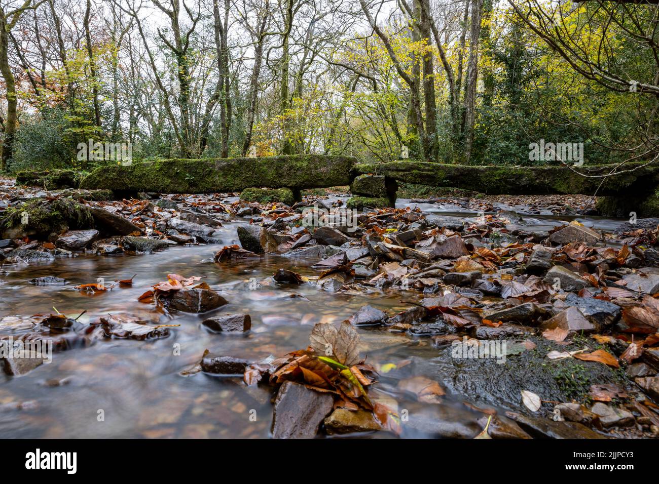 A closeup of a small dirty pond with leaves and stones at the Clapper ...