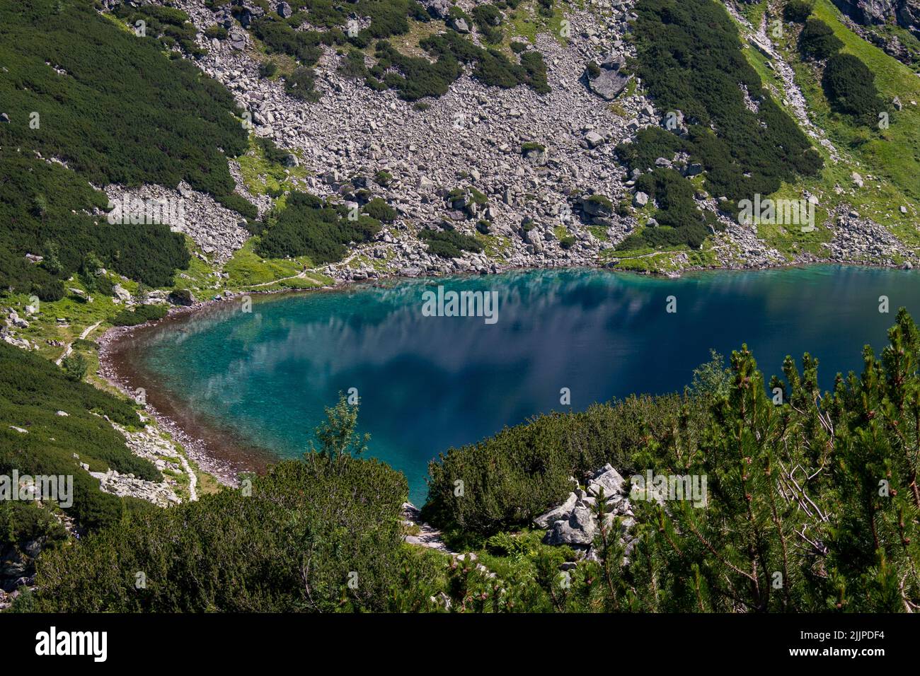 Black pond hi-res stock photography and images - Alamy