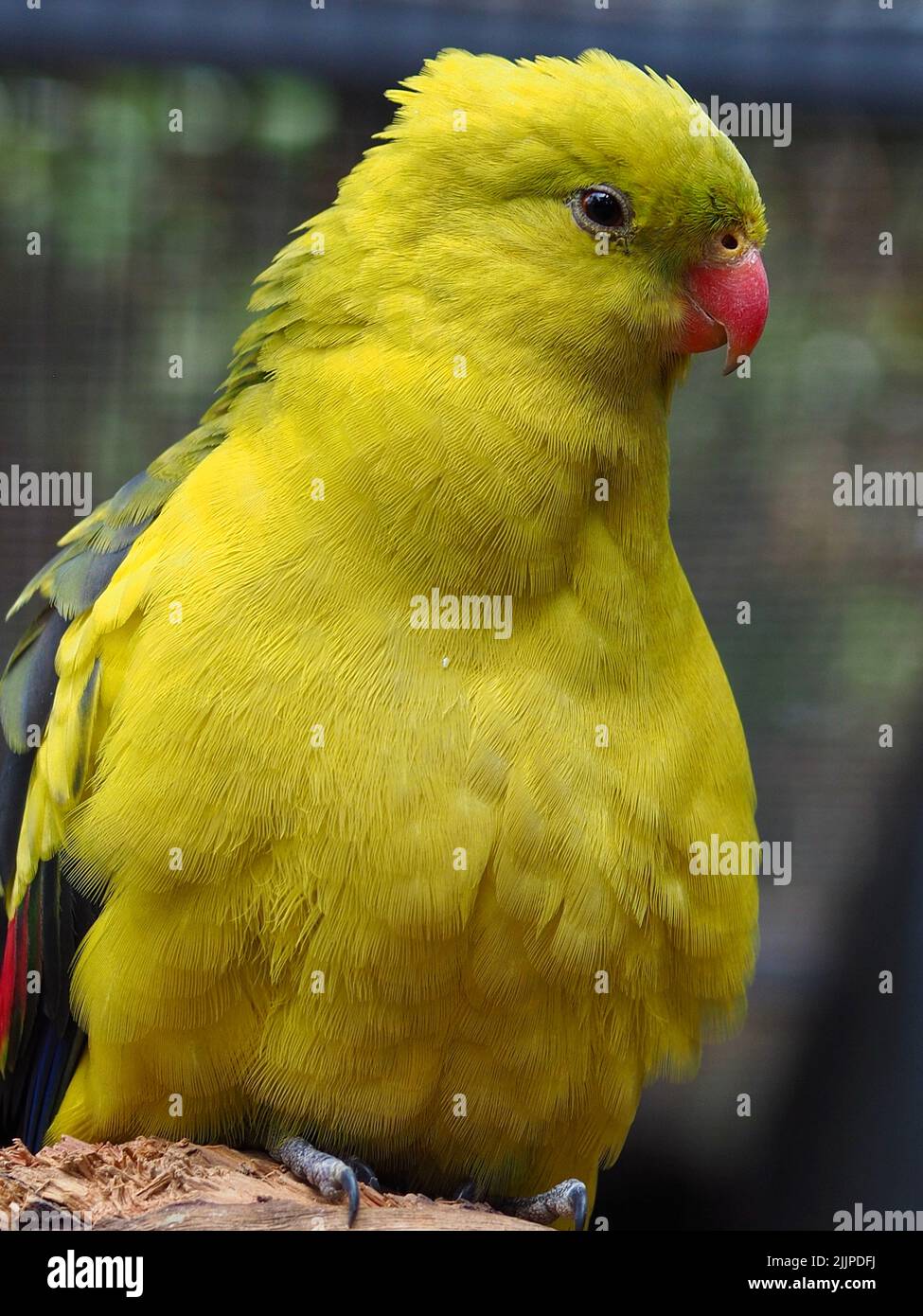 Murray smoker hi-res stock photography and images - Alamy