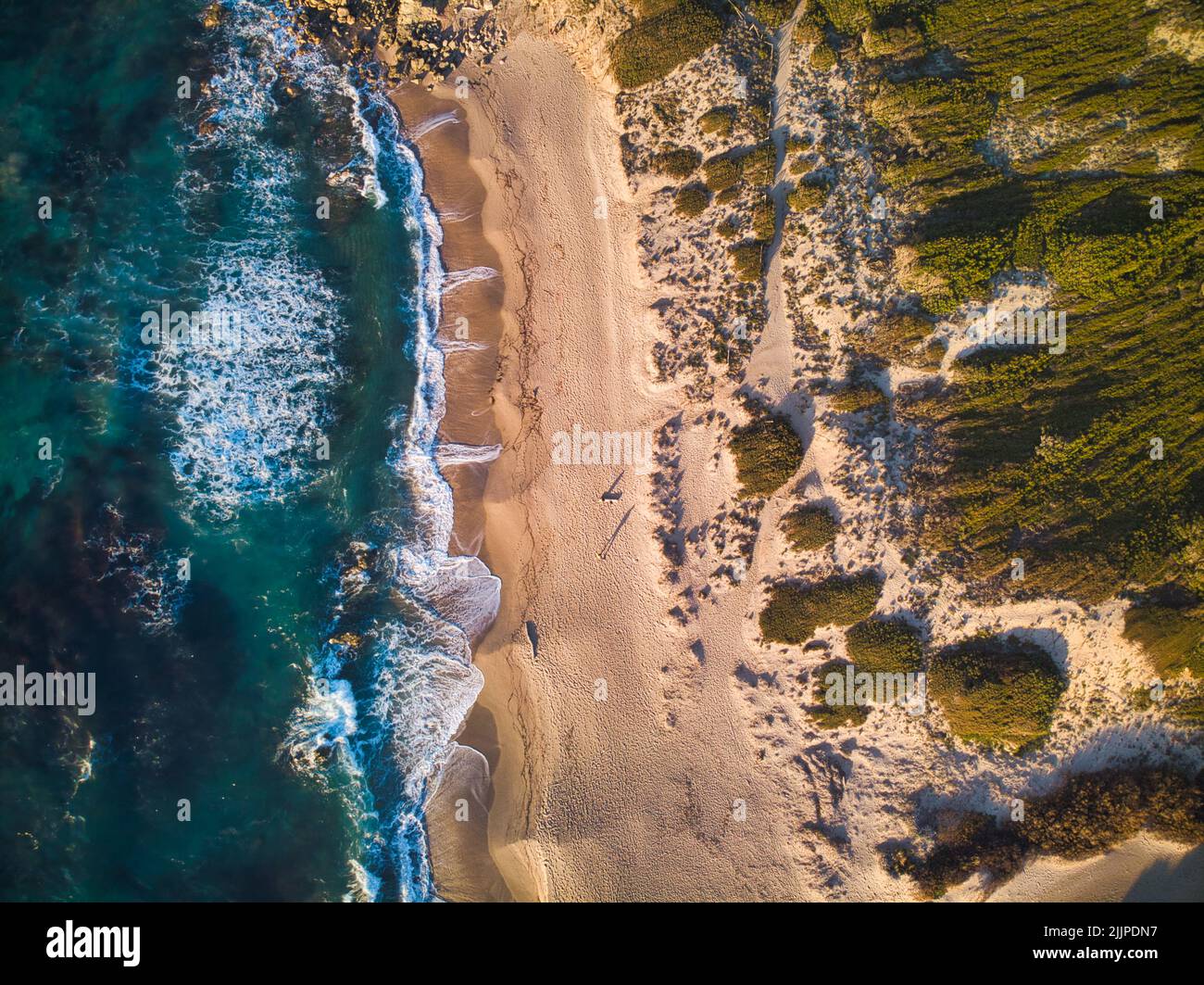 Beach Birds Eye View