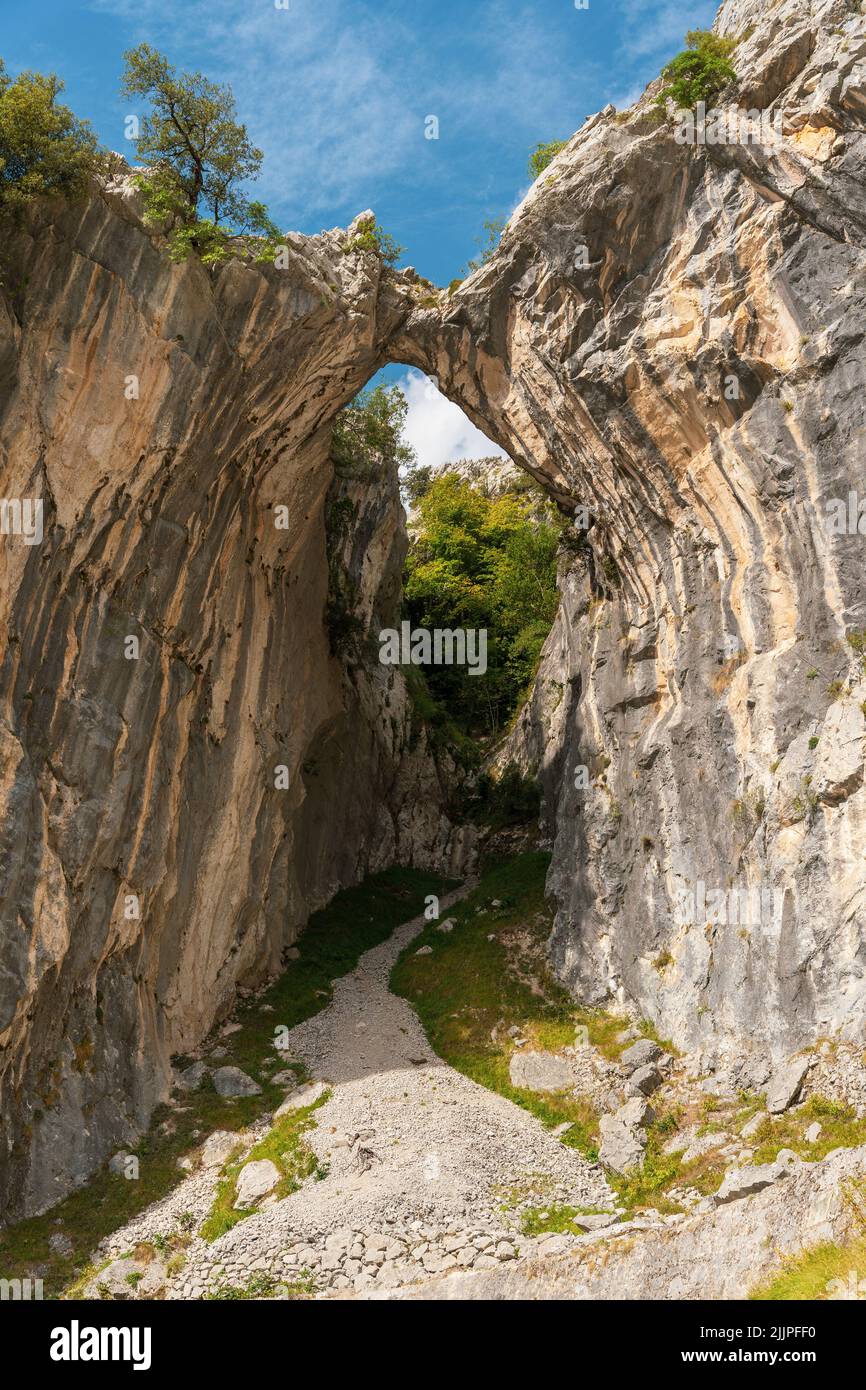 Combining nature hi-res stock photography and images - Alamy