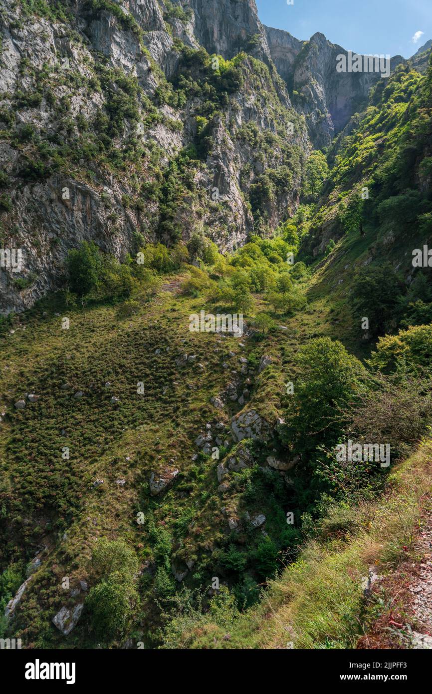 A vertical shot of greenery on a hill Stock Photo - Alamy