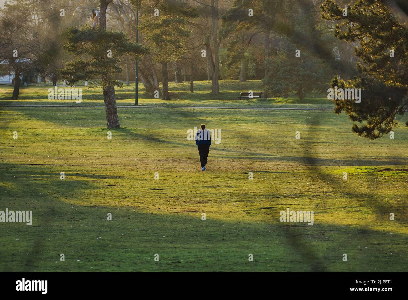 Old man walking in park hi-res stock photography and images - Alamy
