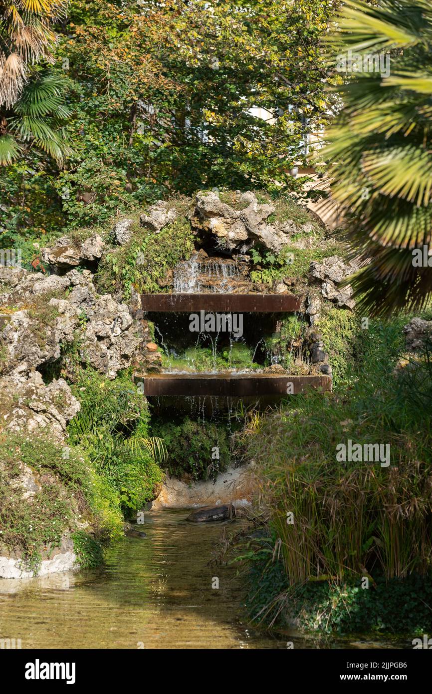 A mesmerizing view of the river ware flowing through the dense green ...