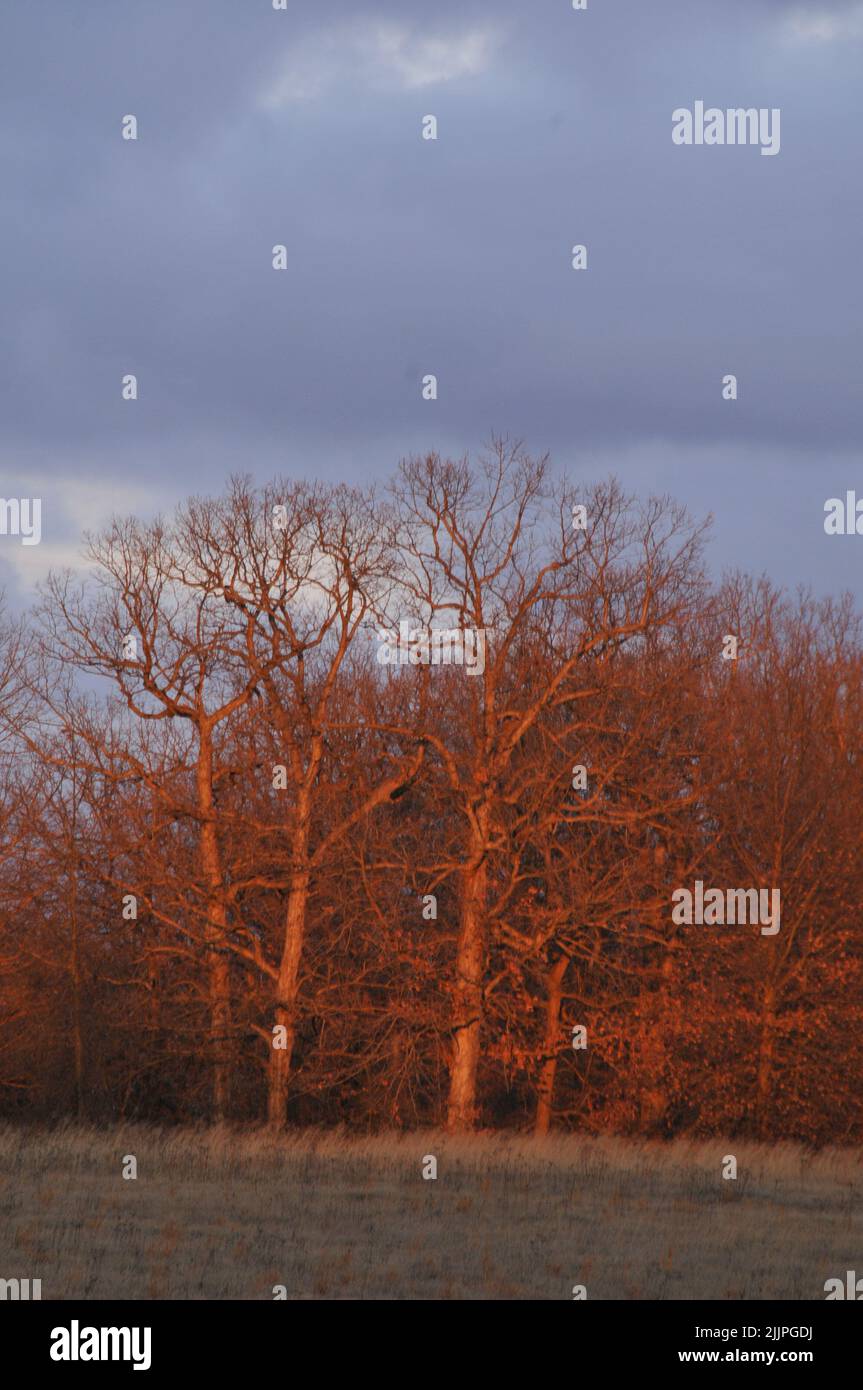 Missouri red highlighted in hi-res stock photography and images - Alamy