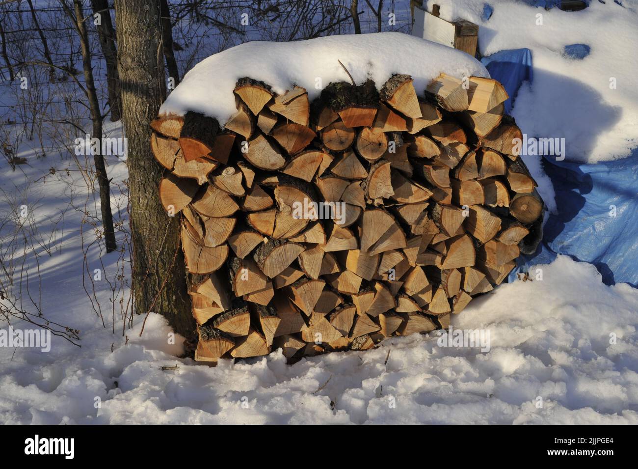 Woodpile for the winter hi-res stock photography and images - Alamy