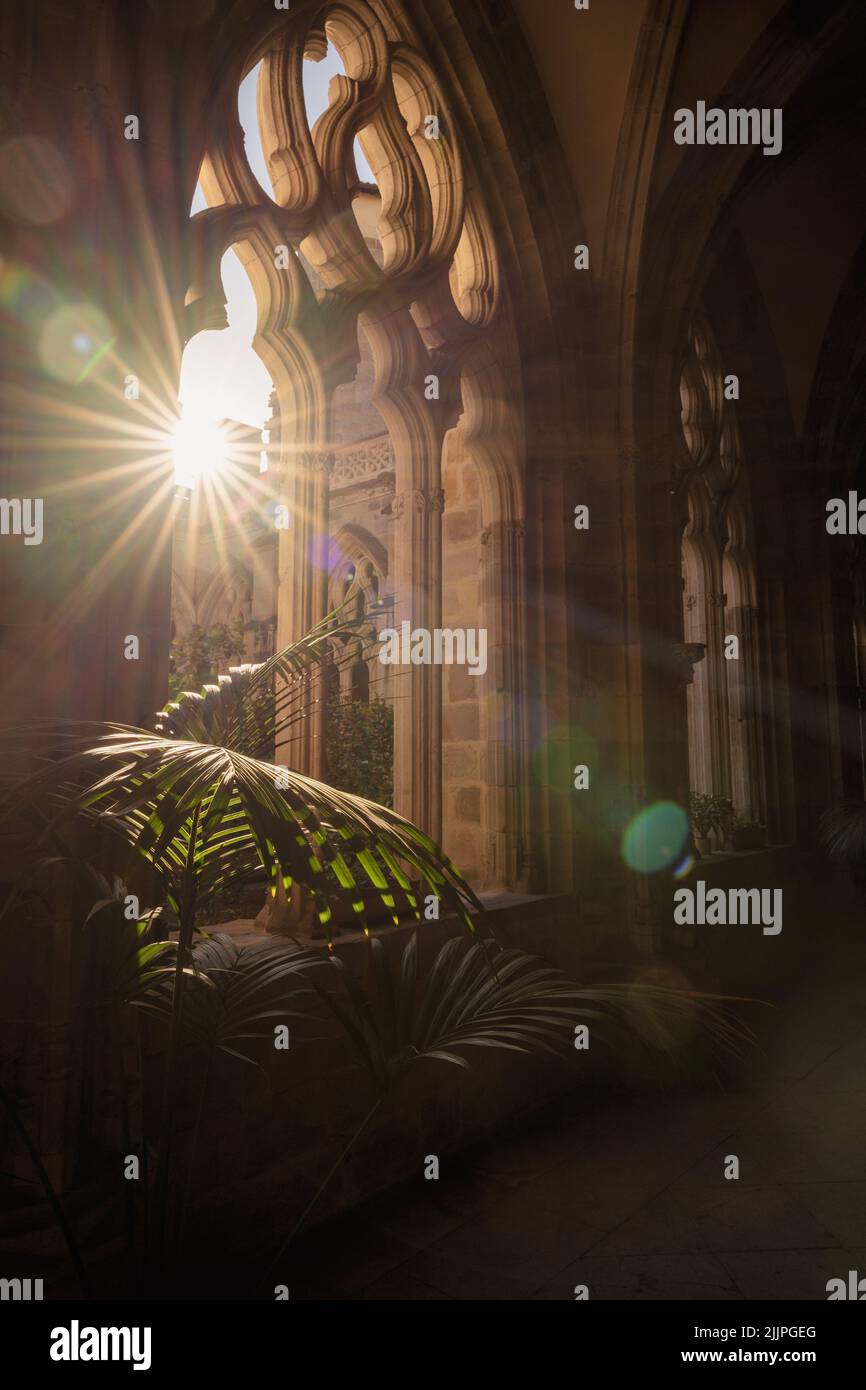 A vertical shot of bright sunbeams shining through an ornate window ...