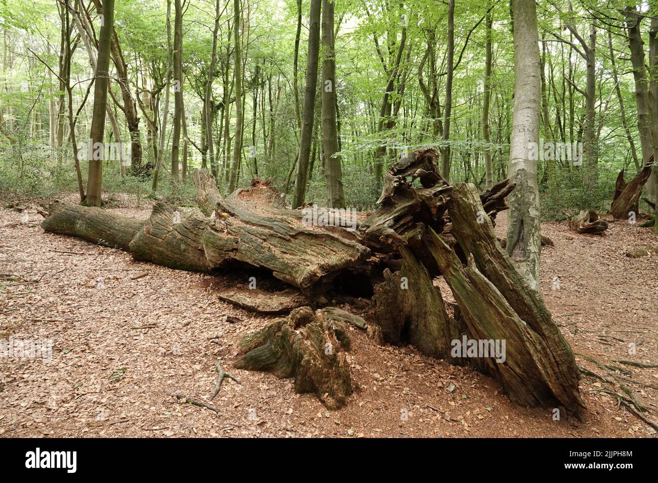 Broken colours hi-res stock photography and images - Alamy